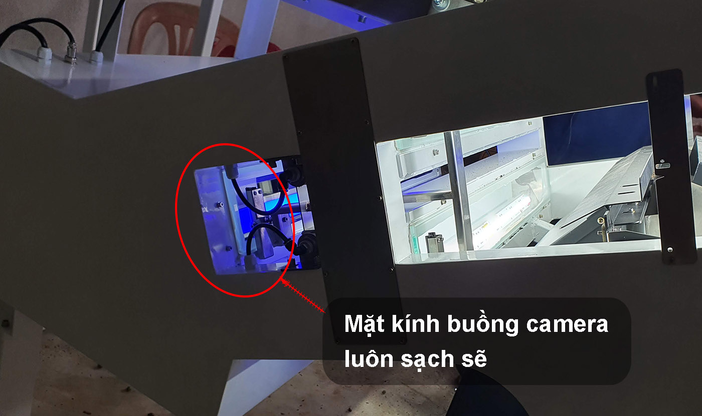 Máy tách màu/Máy bắn màu cà phê tươi SG - sgmachinery.vn